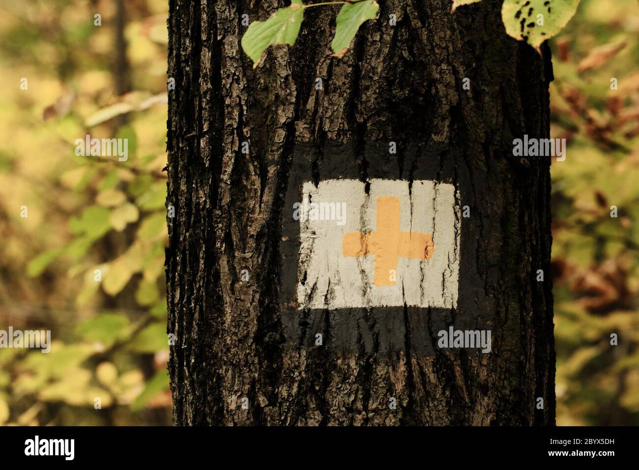 High photo hi-res stock photography and images - Alamy