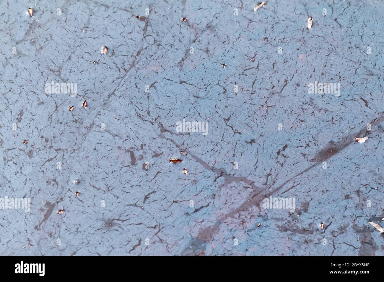 Contaminated Water High Resolution Stock Photography and Images - Alamy