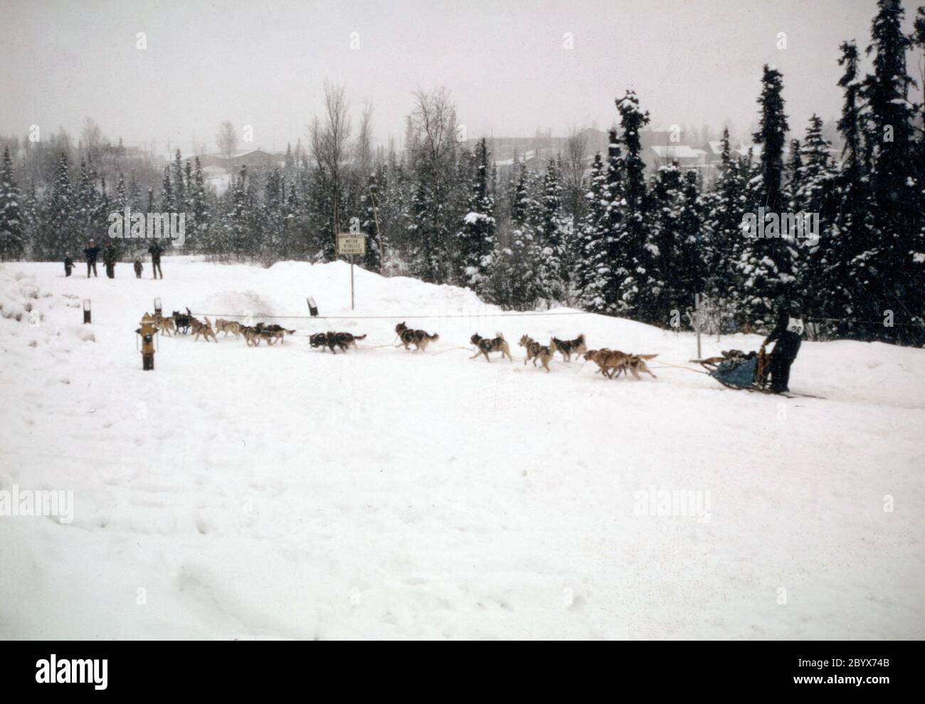 1974 iditarod hi-res stock photography and images - Alamy