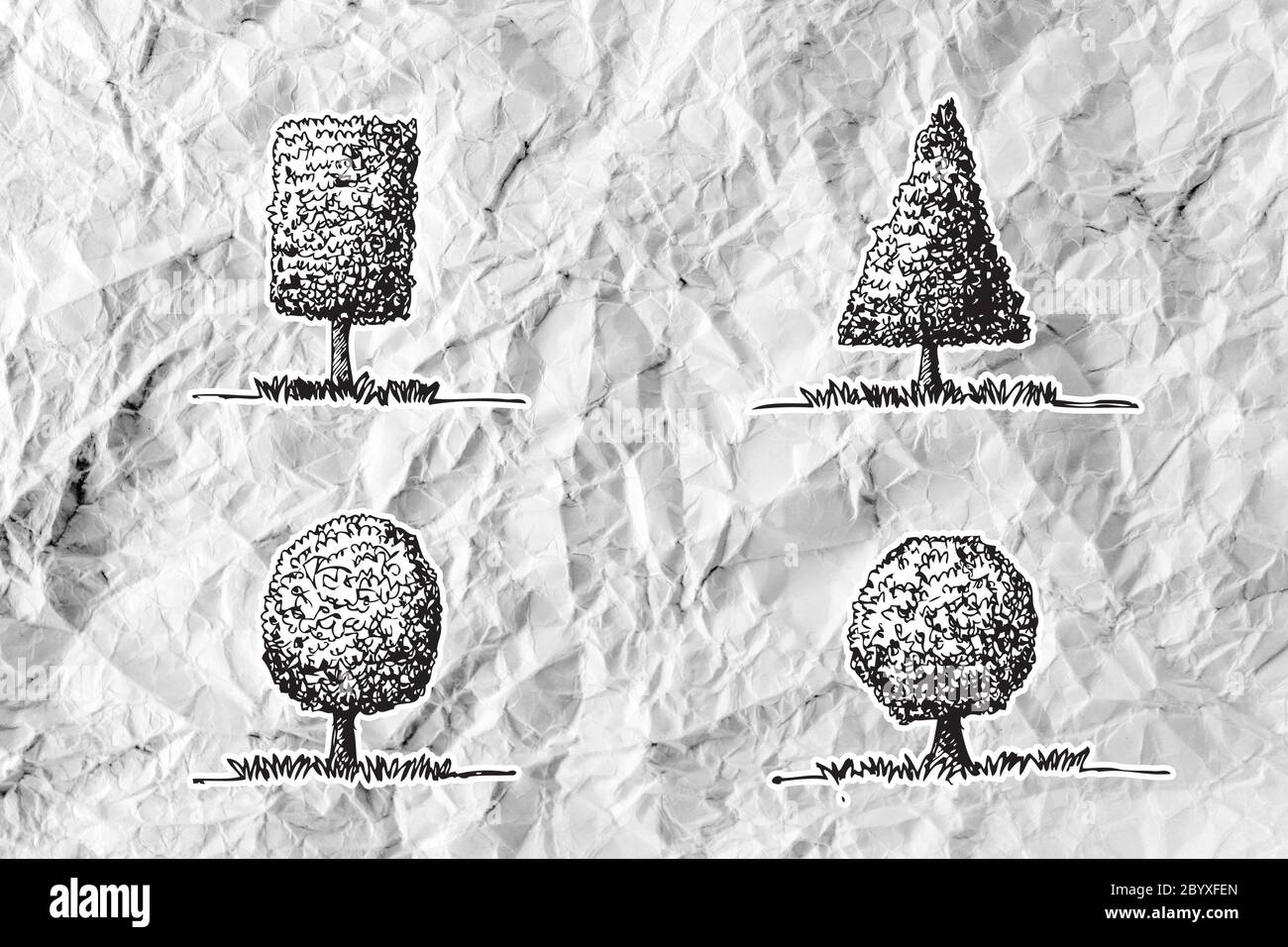 Set of trees with leaves on crumpled paper Stock Photo - Alamy
