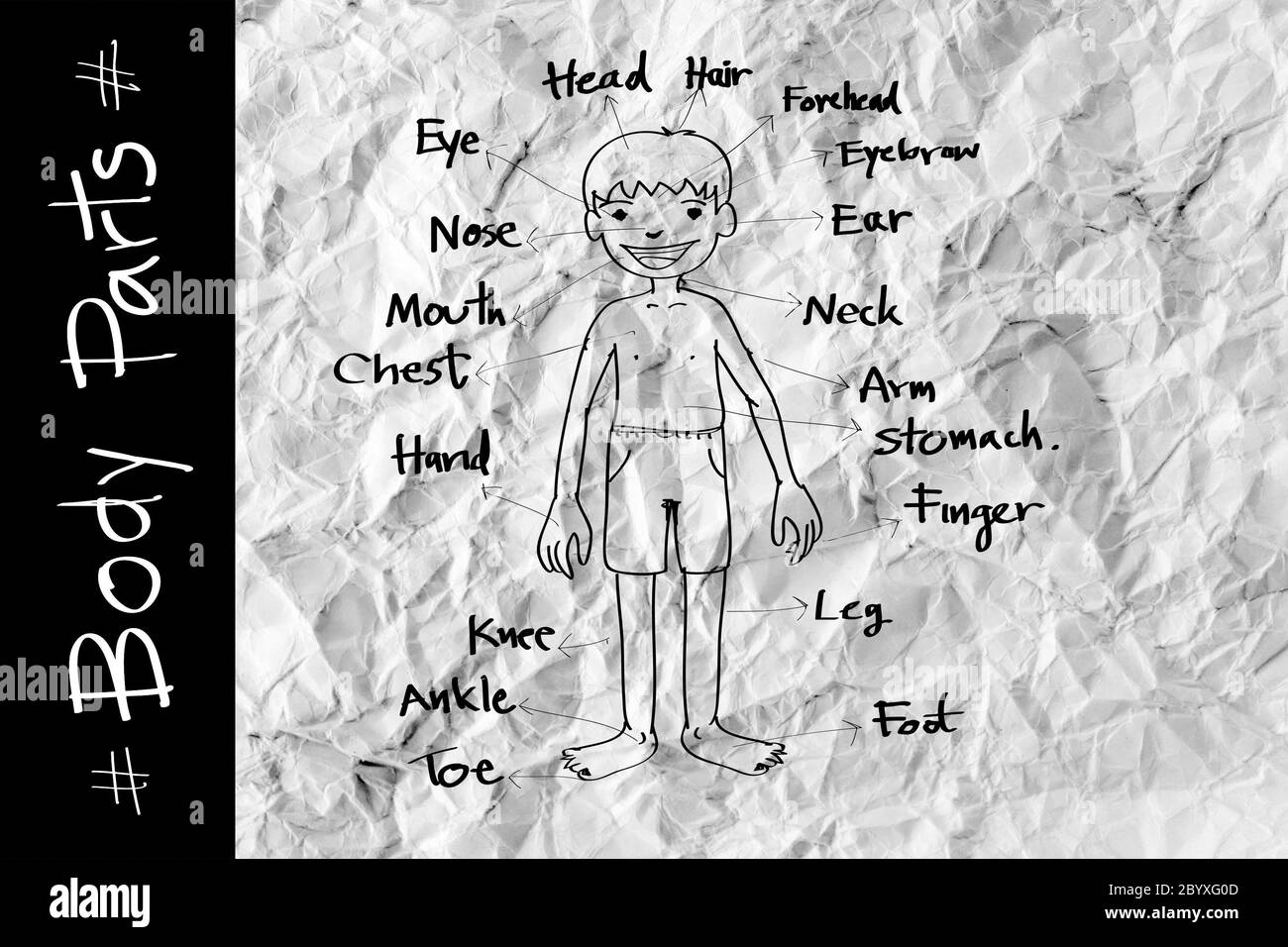 Body language cartoon hi-res stock photography and images - Alamy