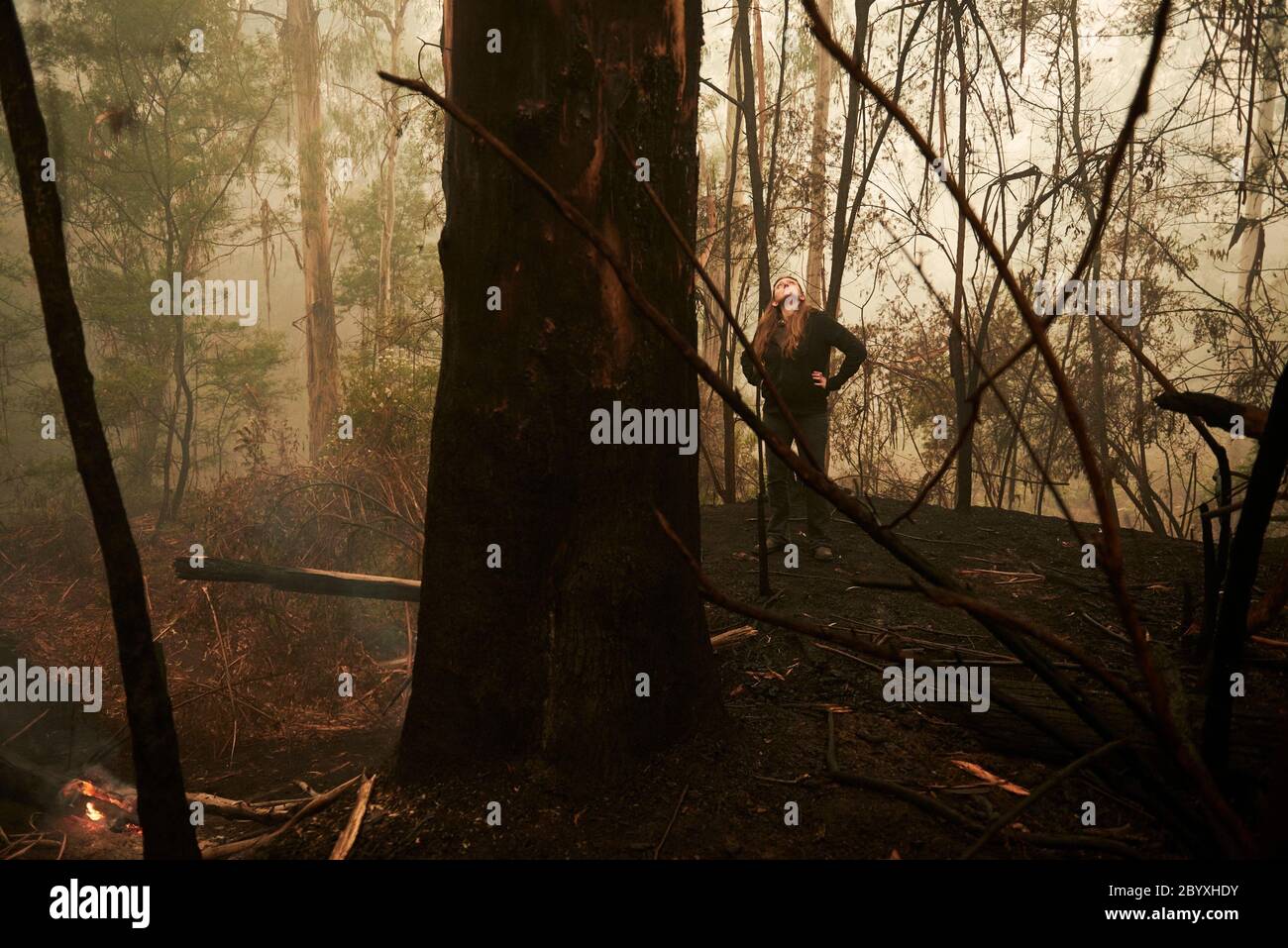 Susan Pulis, a wildlife carer and the founder of the Raymond Island ...