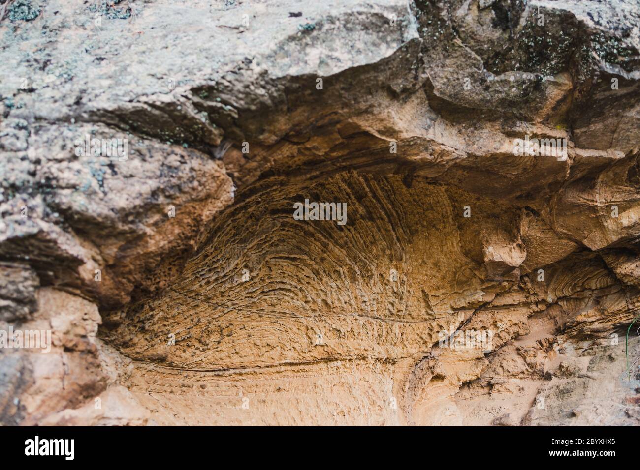 curved rock cave along the shores in the Tasmania, Australia Stock ...