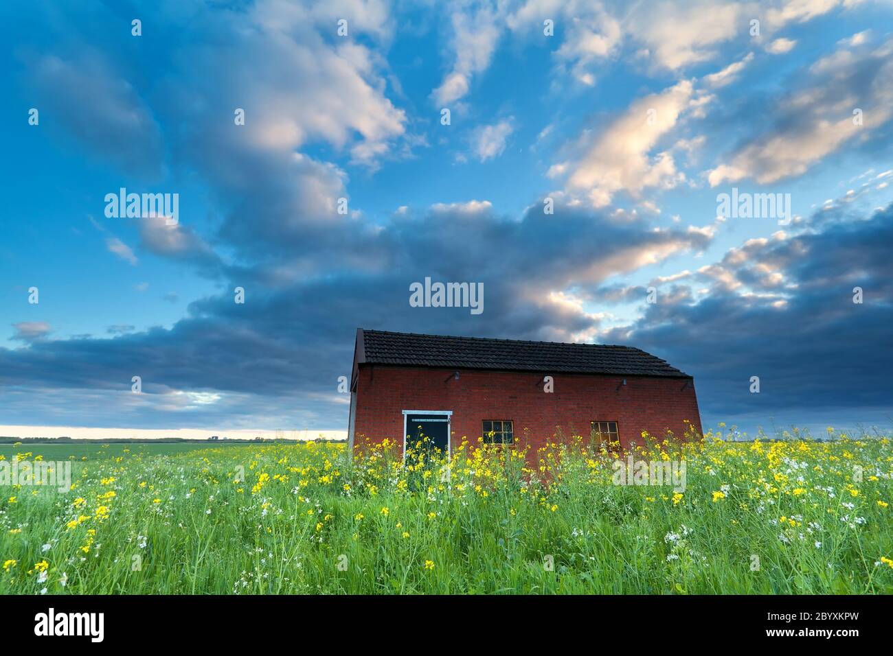 farmhouse on flowering meadow Stock Photo - Alamy
