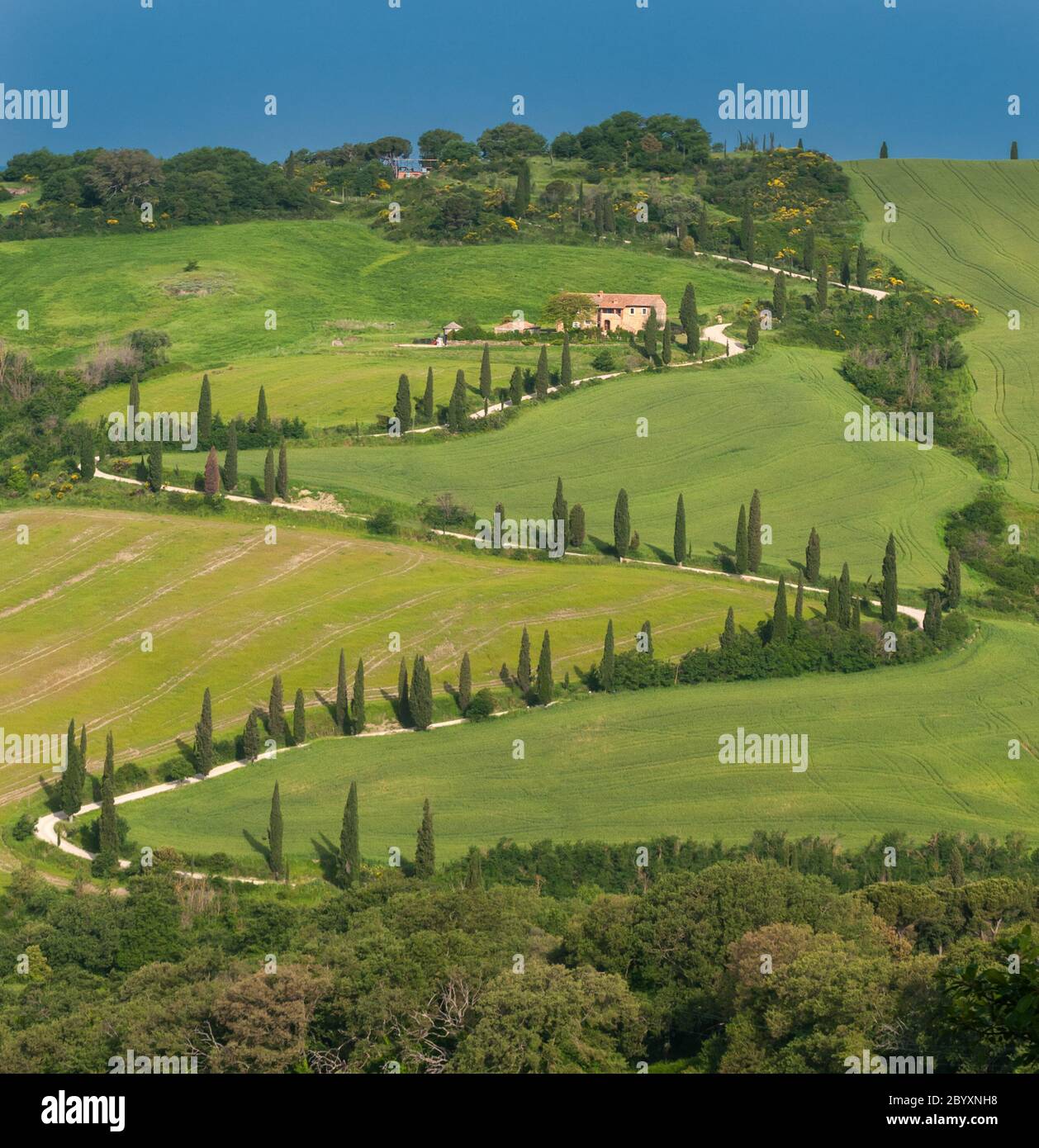 typical tuscan landscape Stock Photo - Alamy