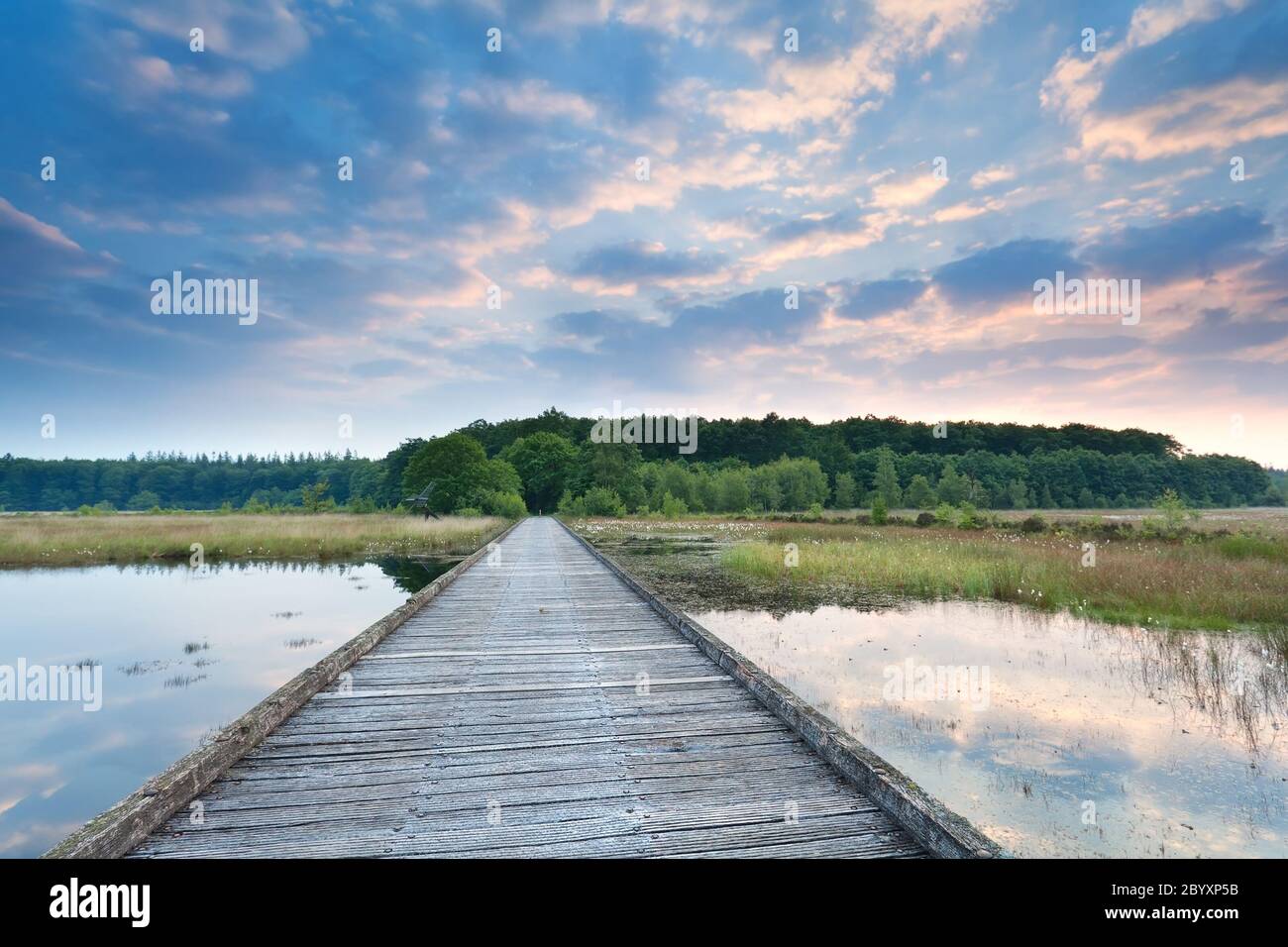 wooden path on lake water at sunrise Stock Photo - Alamy