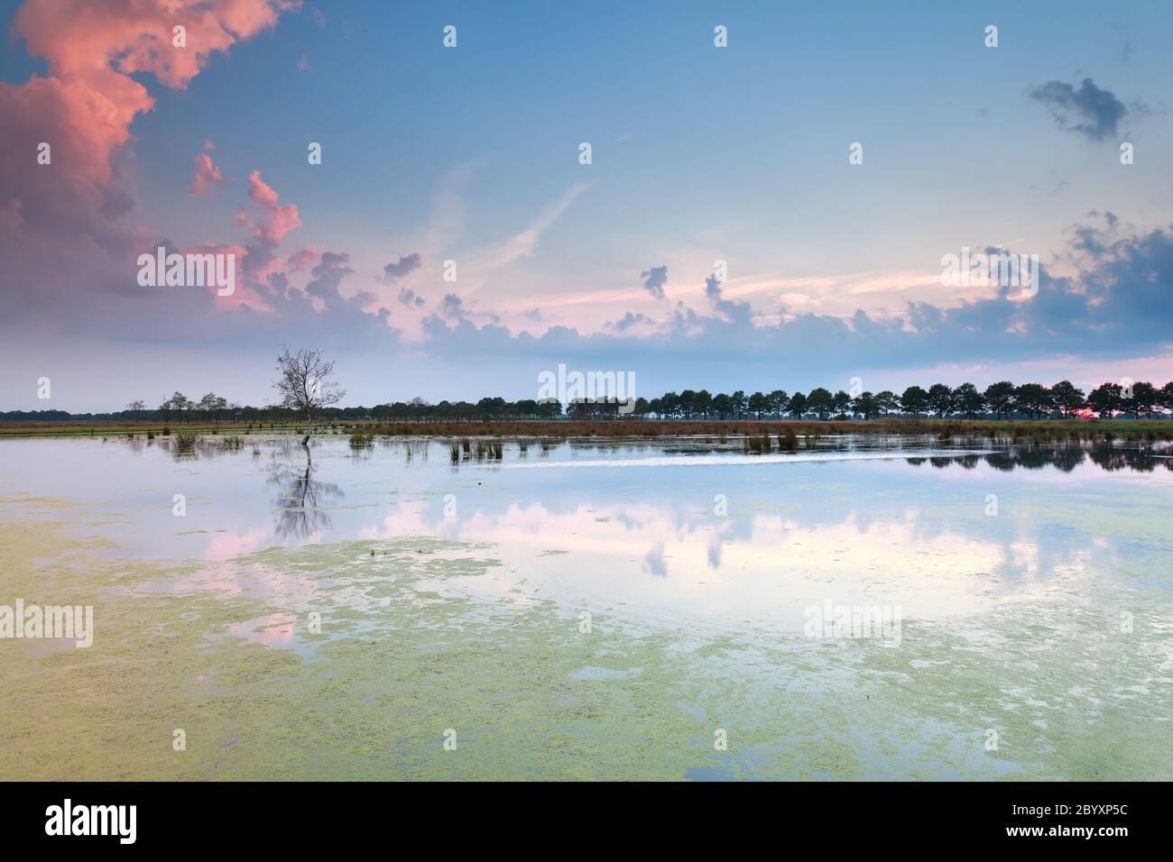 Purple sky reflected in water hi-res stock photography and images - Alamy