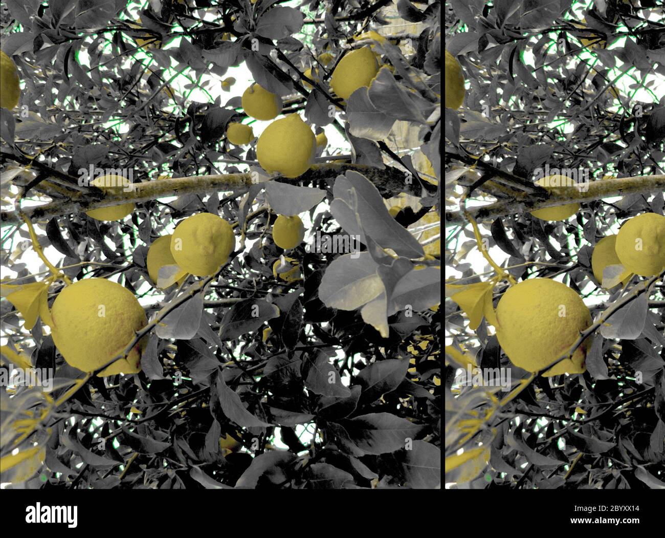 Manipulated hi-res stock photography and images - Alamy