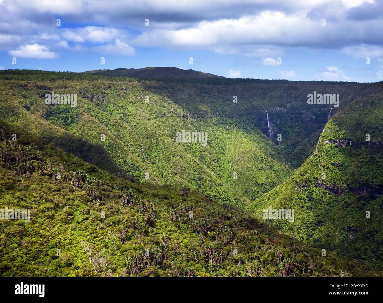 Nature of Mauritius. Wood and mountains Stock Photo - Alamy