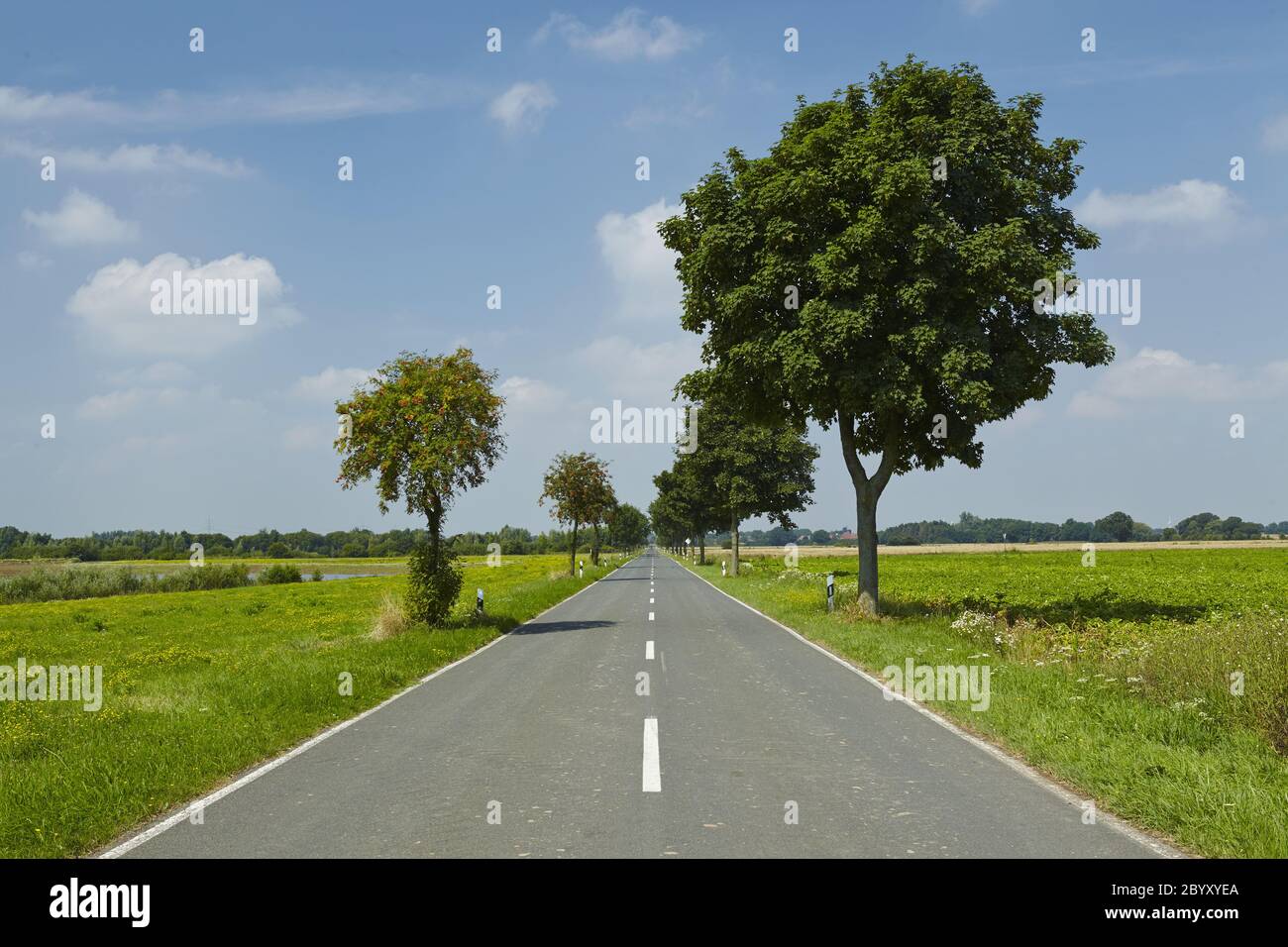 Landscape with road Stock Photo - Alamy