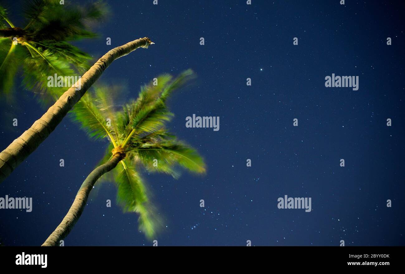 Tropical Night Sky Stock Photo - Alamy