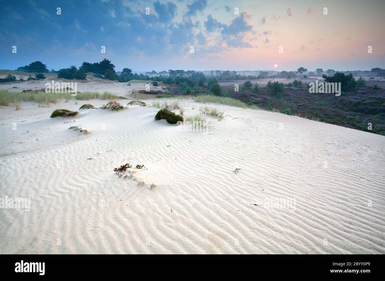 Heather sand hi-res stock photography and images - Alamy