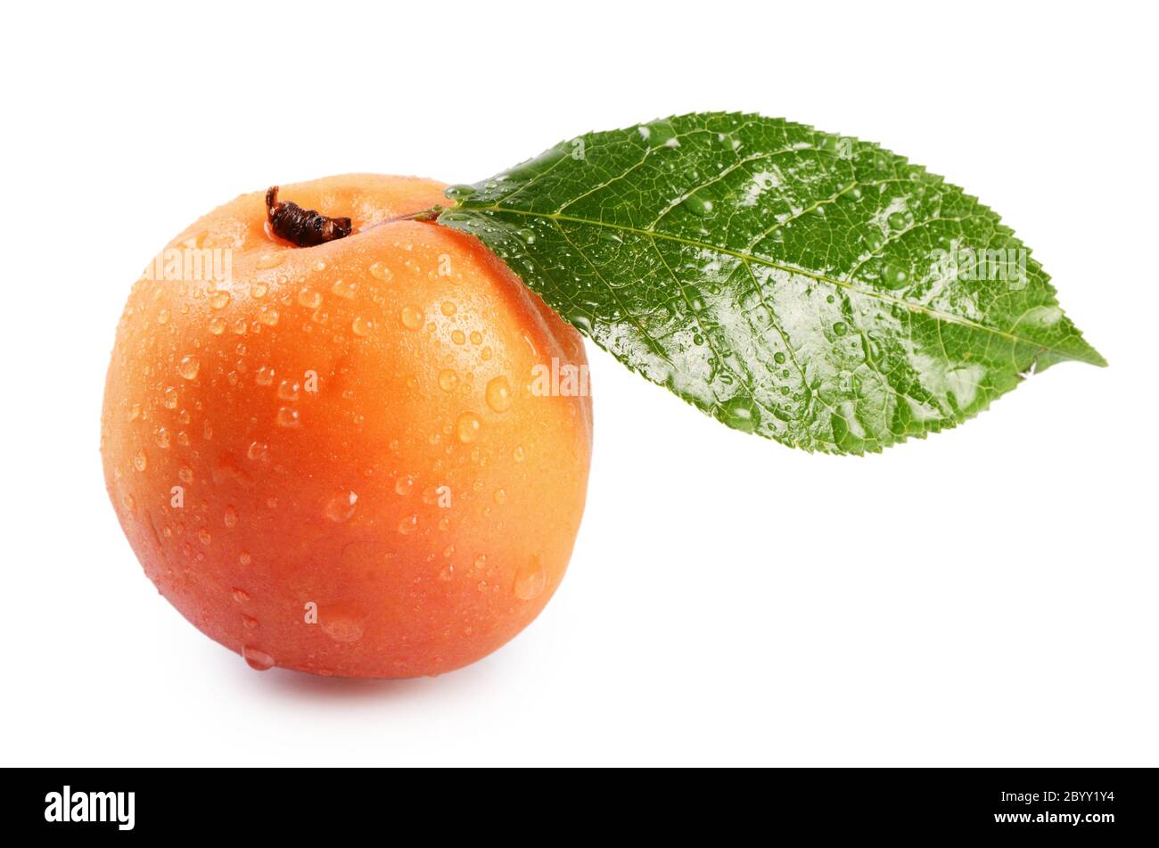 Peach fresh peach water Cut Out Stock Images & Pictures - Alamy