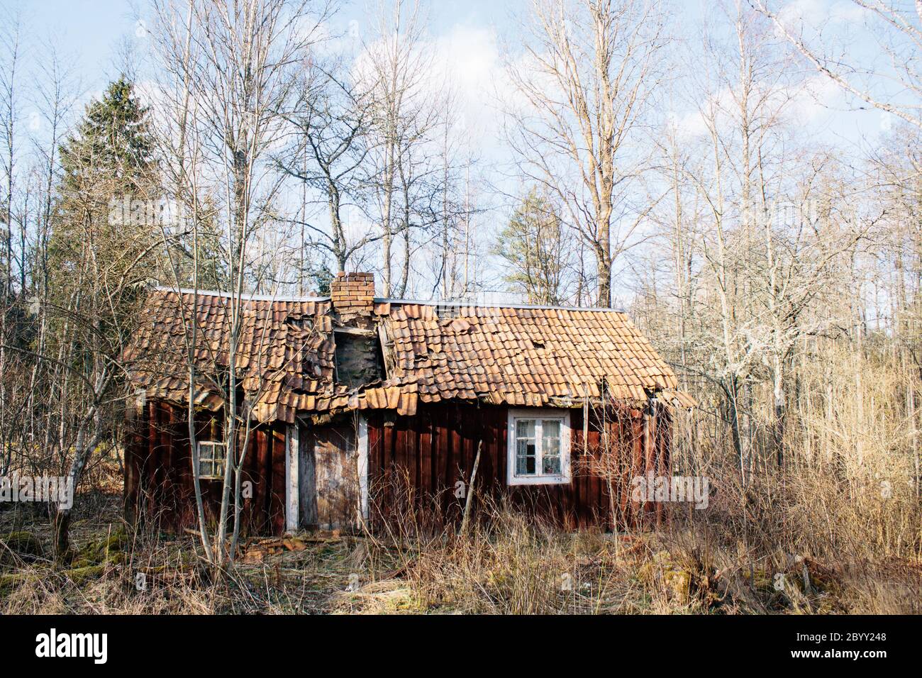 Typical Swedish red house, completely ruined, wrecked, abandoned and ...