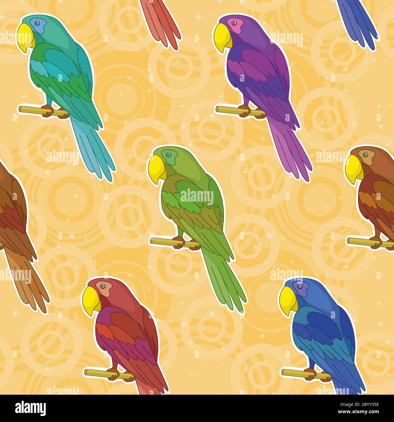 Star of parrots hi-res stock photography and images - Alamy