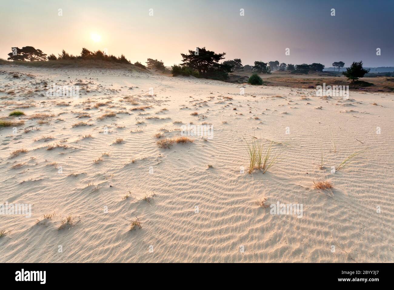 sunset over sand dune Stock Photo - Alamy