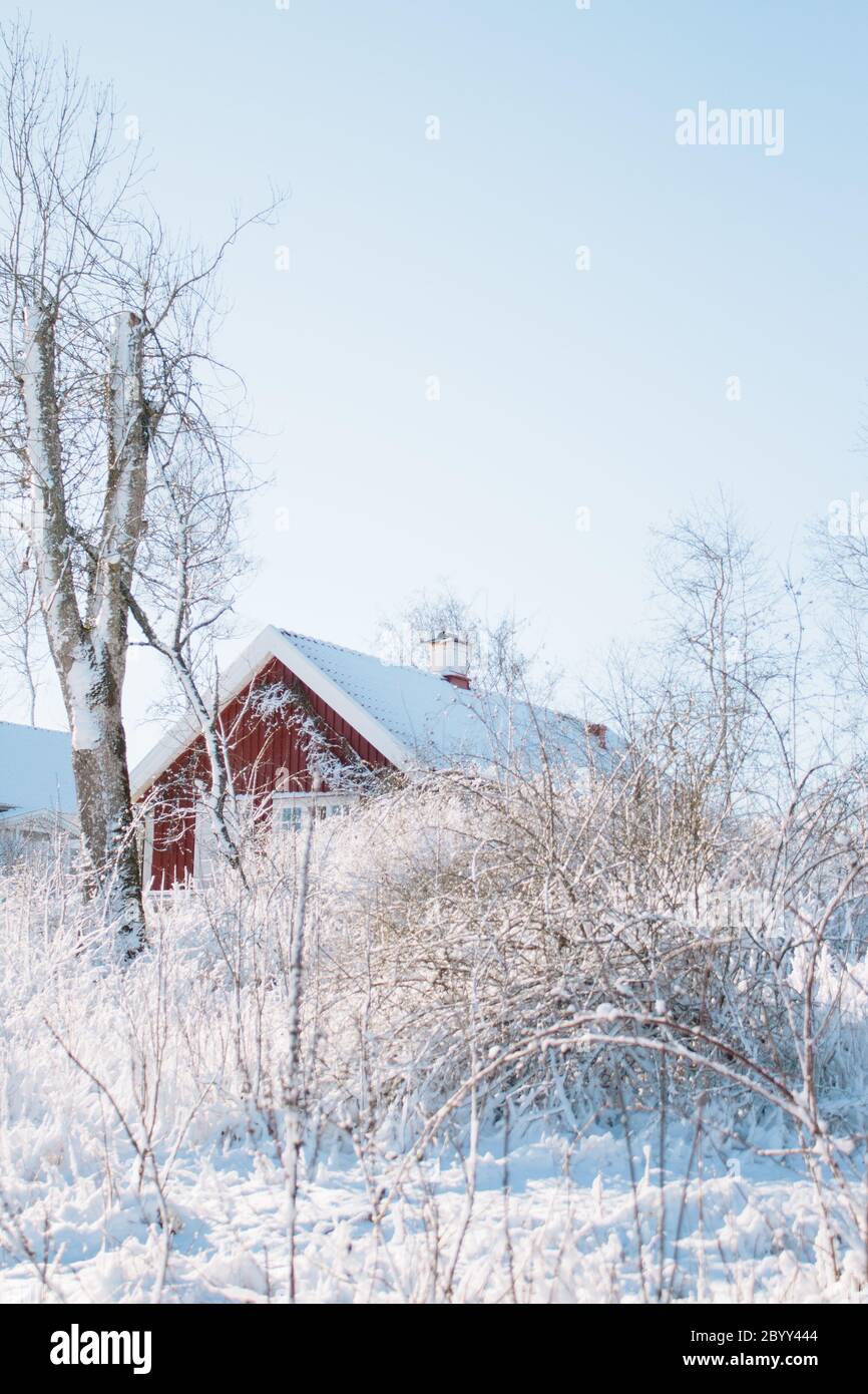 Typical Swedish winter scene, an old red farmhouse in the snow ...