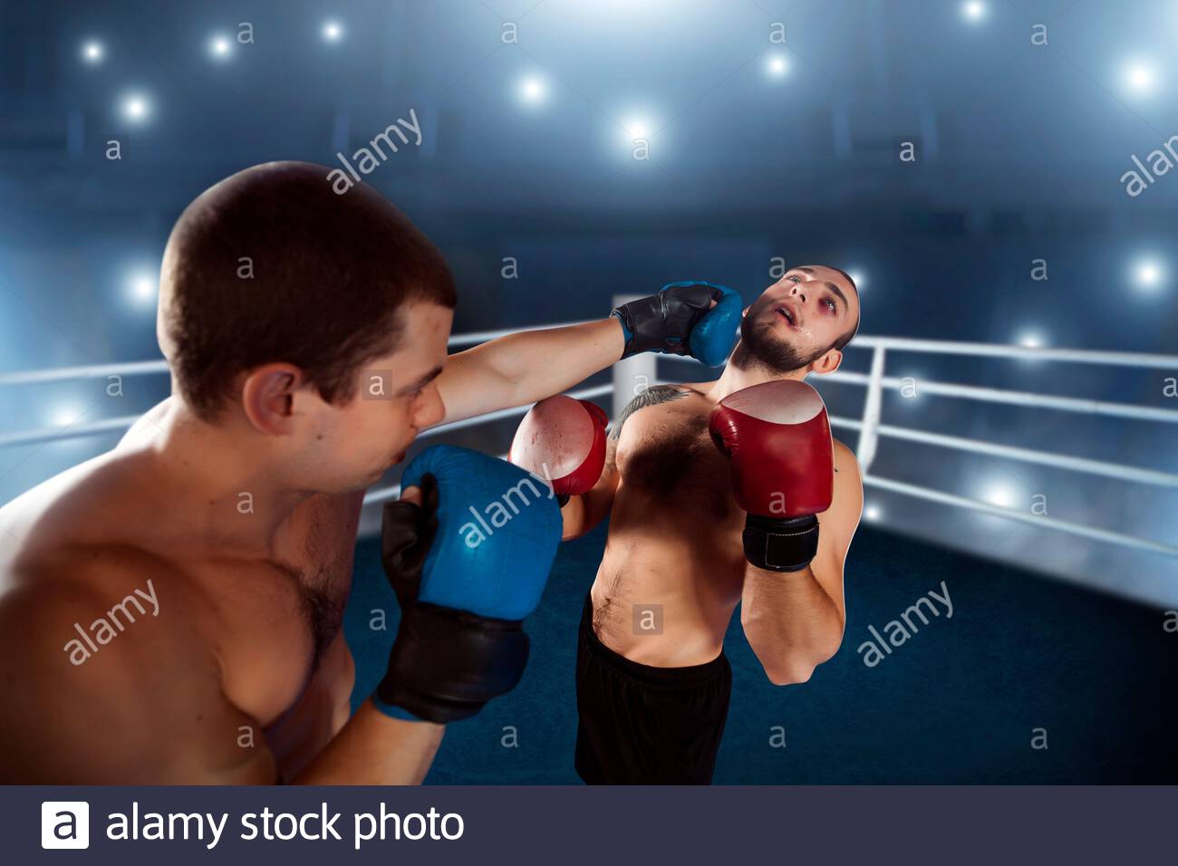 Boxer Match Two High Resolution Stock Photography and Images - Alamy