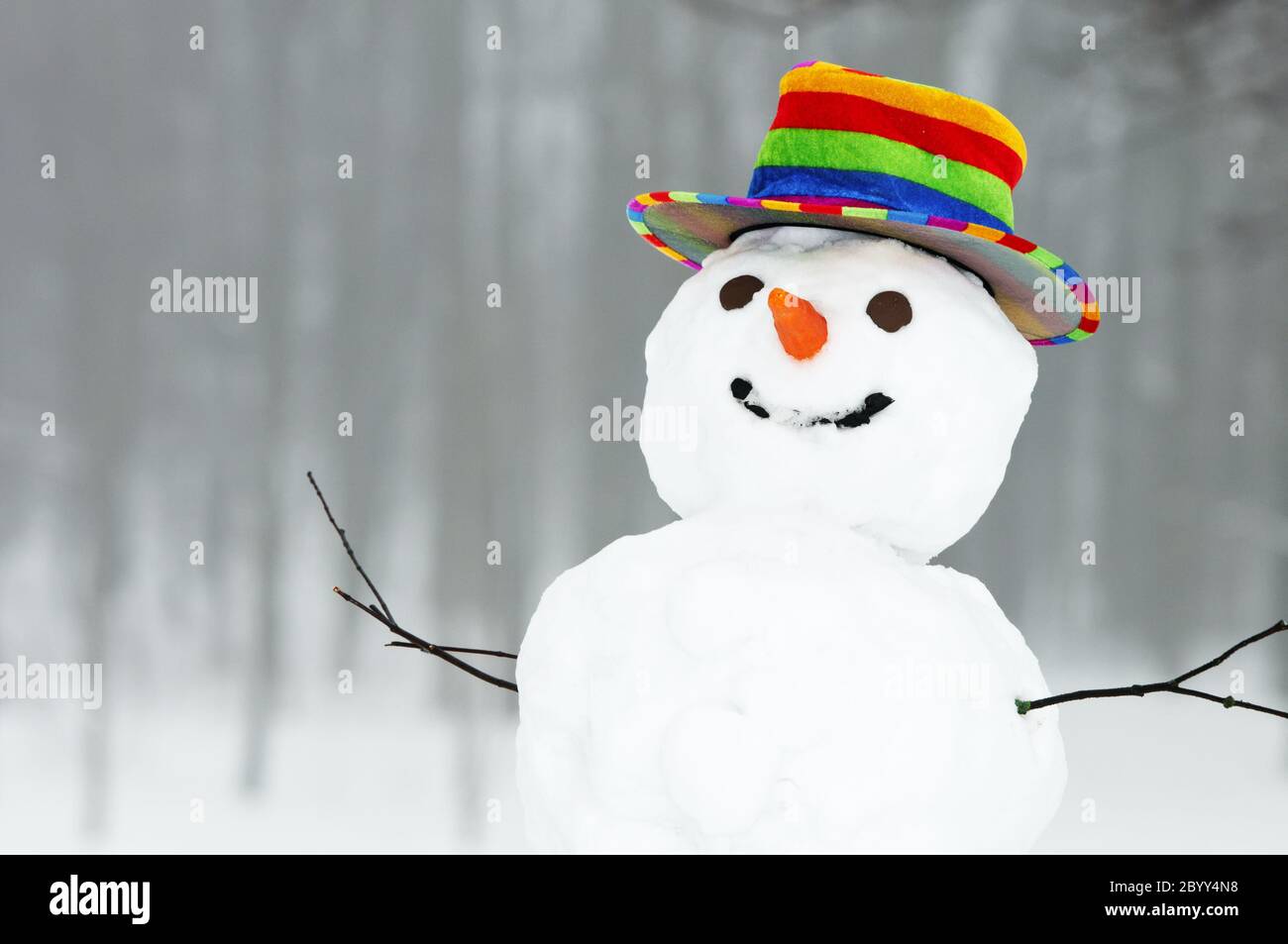 Funny smiling snowman hi-res stock photography and images - Alamy