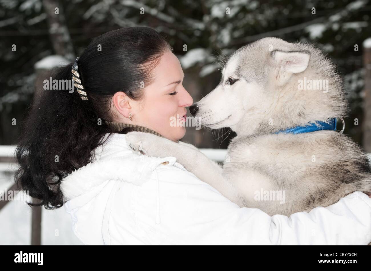 happy siberian husky owner with dog Stock Photo - Alamy