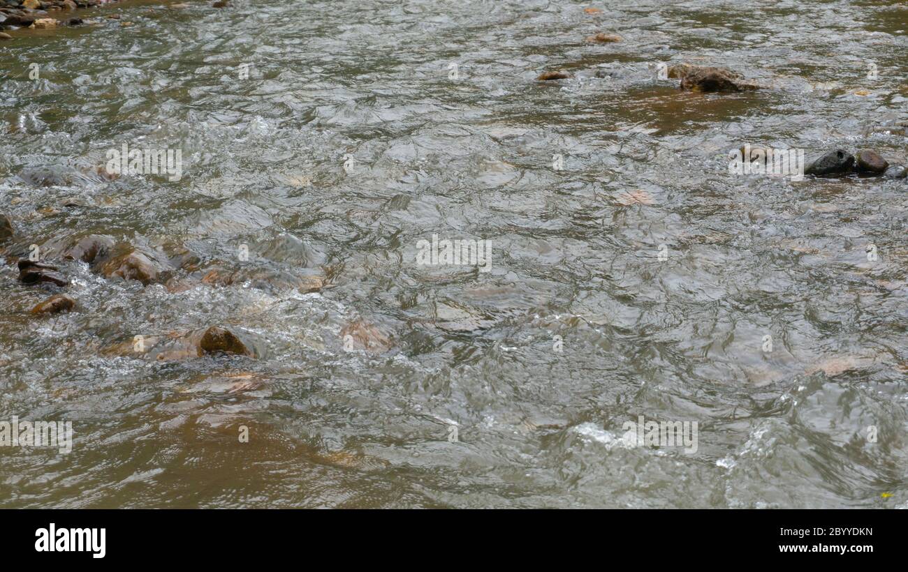 River water flow in the rainy season, looks clear and fresh depicts a ...
