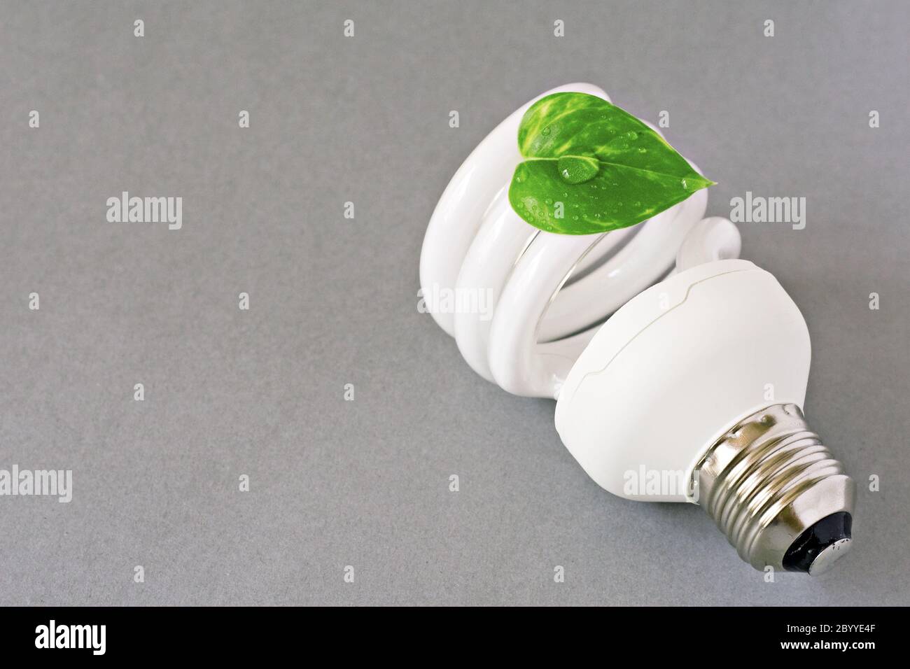 eco lightbulb with green leaf Stock Photo - Alamy