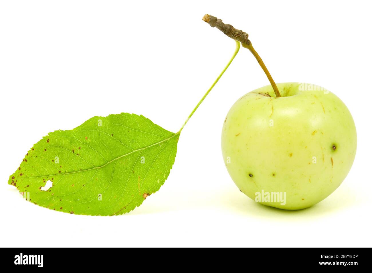 apple with leaf Stock Photo - Alamy