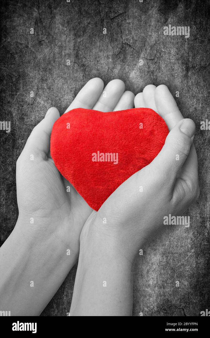 red heart in hands Stock Photo - Alamy