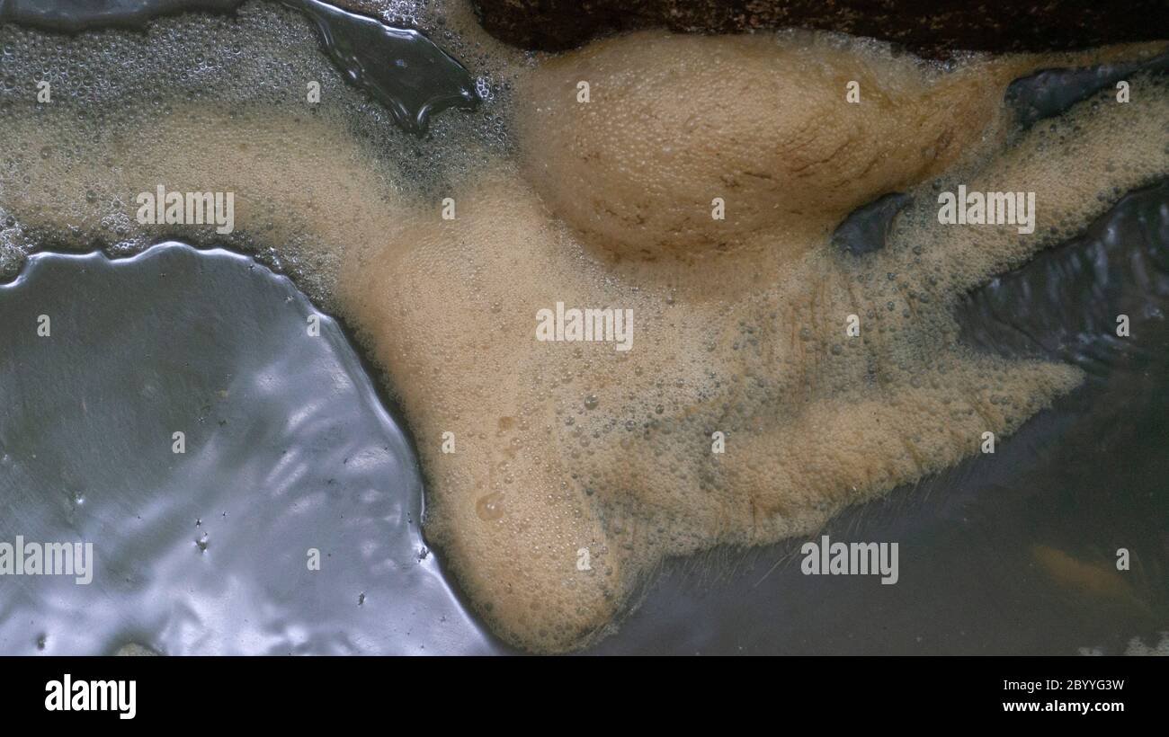 Scum bubbles floating on a surface of polluted water Stock Photo - Alamy