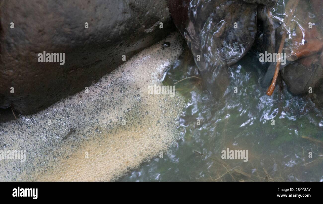 Scum bubbles floating on a surface of polluted water Stock Photo - Alamy