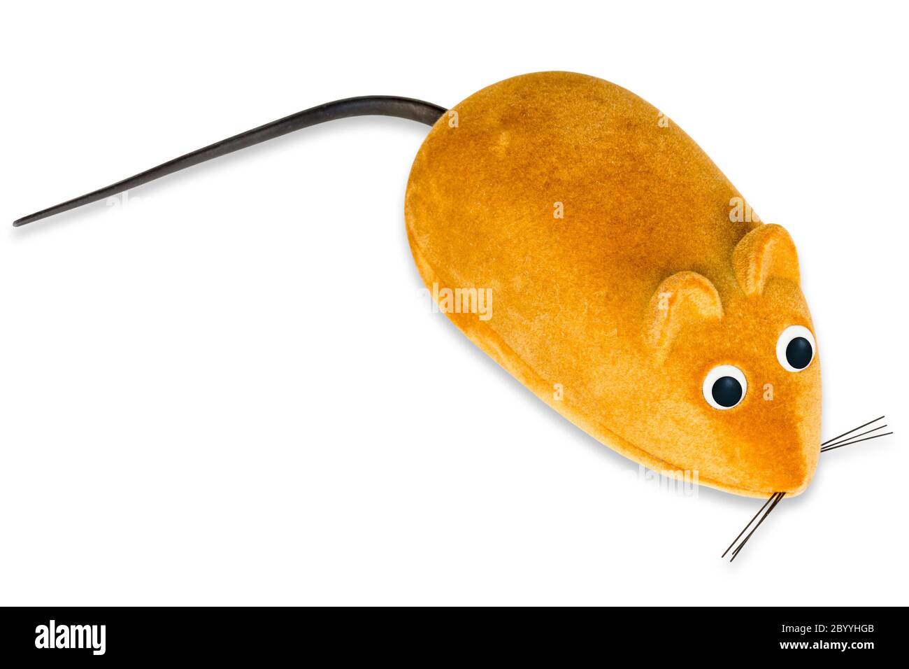 Brown mouse Stock Photo - Alamy