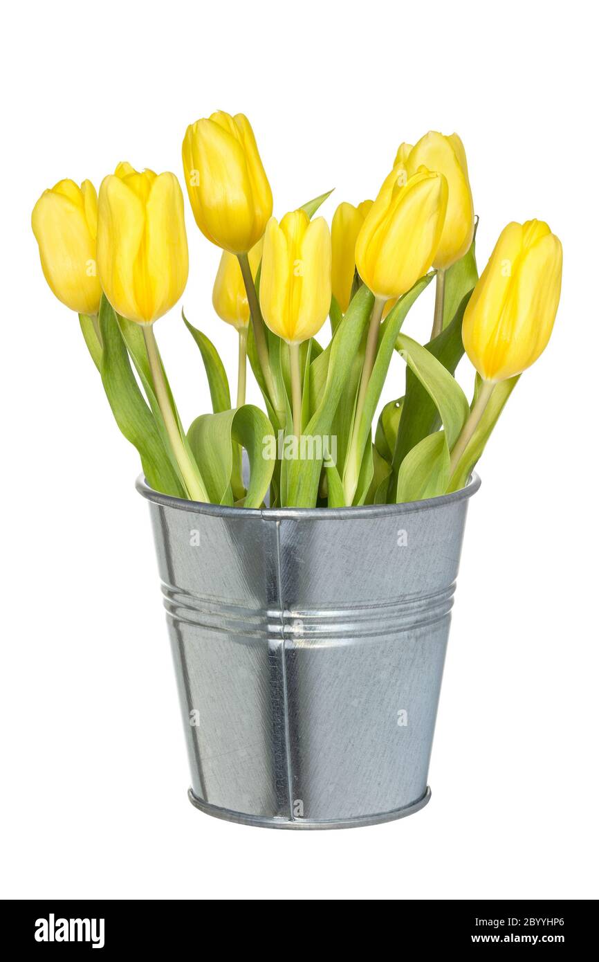 Full bucket hi-res stock photography and images - Alamy