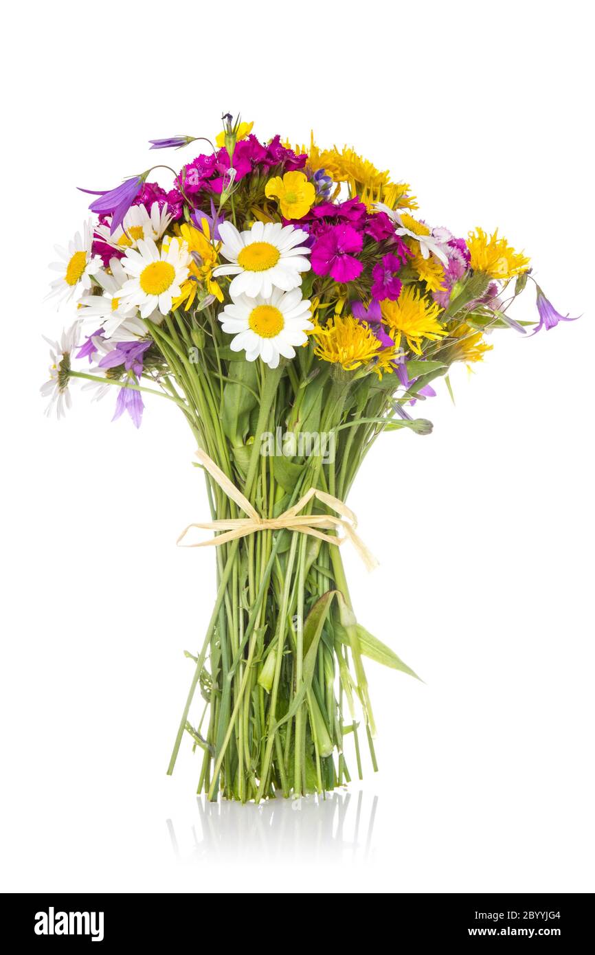 Bunch of wildflowers hi-res stock photography and images - Alamy