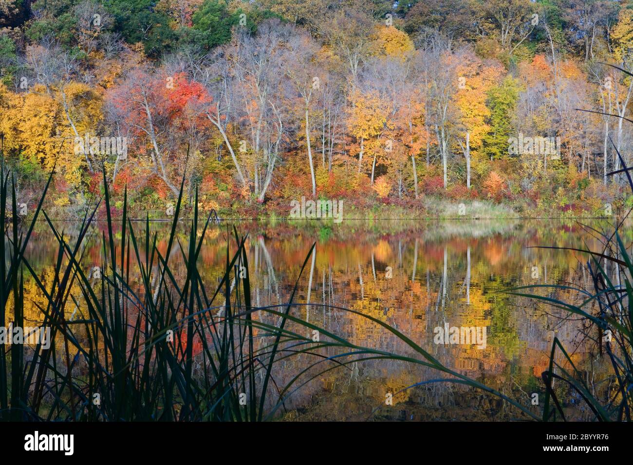 Reflections of Autumn Stock Photo - Alamy
