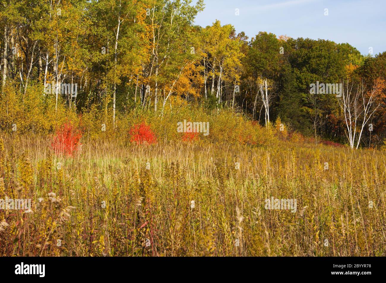 Colors of the Fall Stock Photo - Alamy