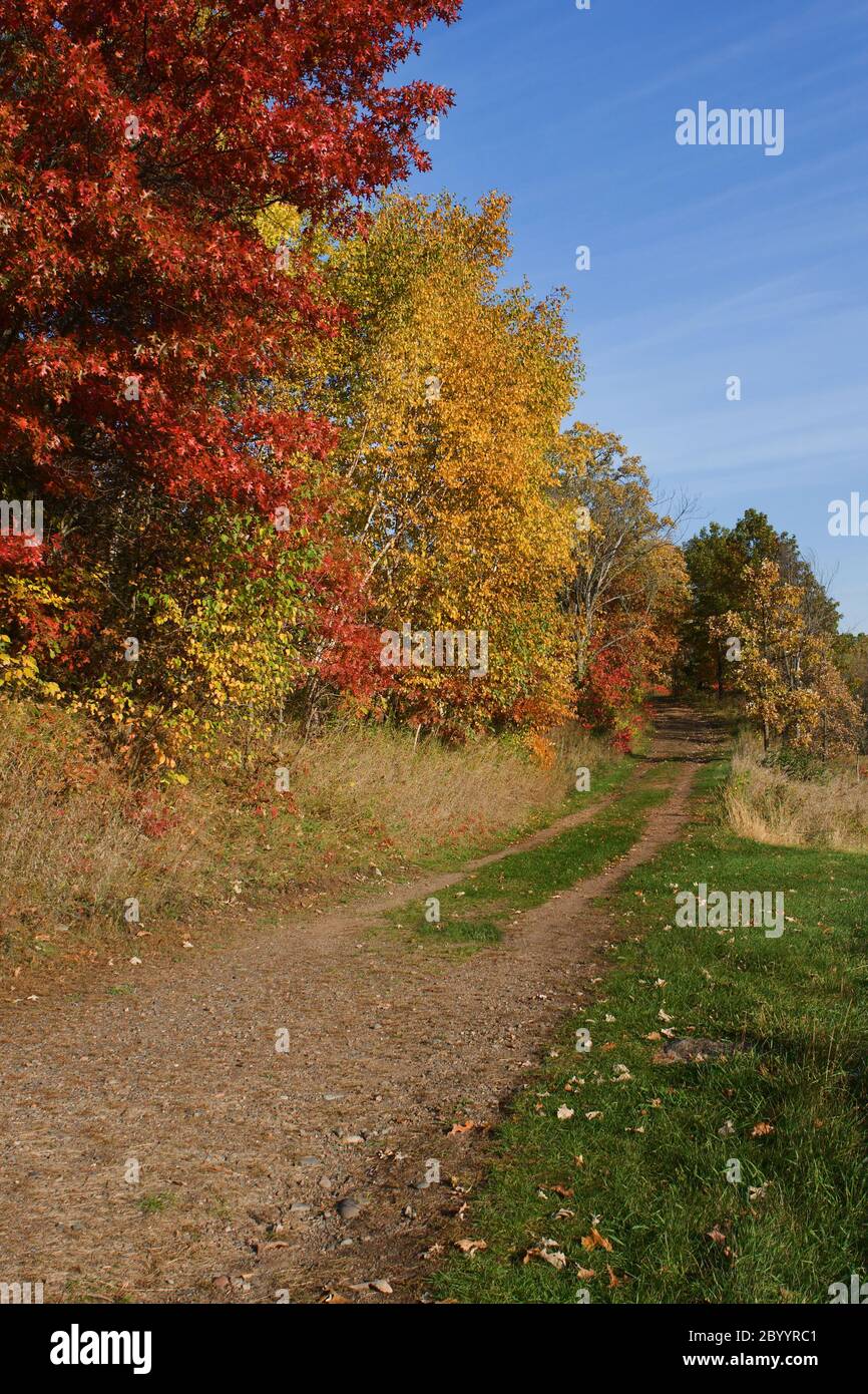 Leaf drive hi-res stock photography and images - Alamy