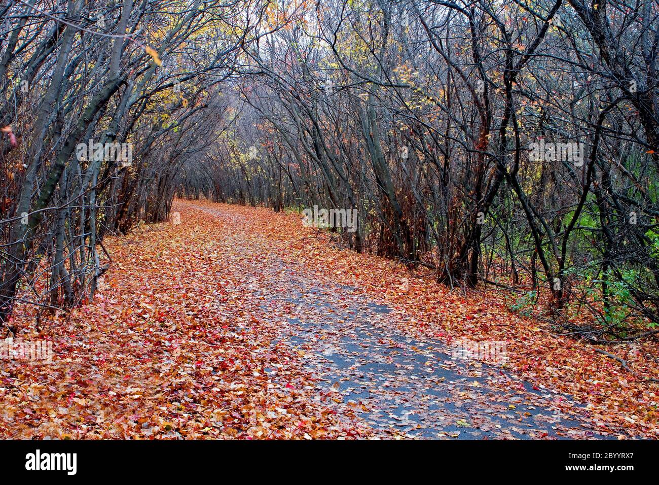 Colorful walk hi-res stock photography and images - Alamy