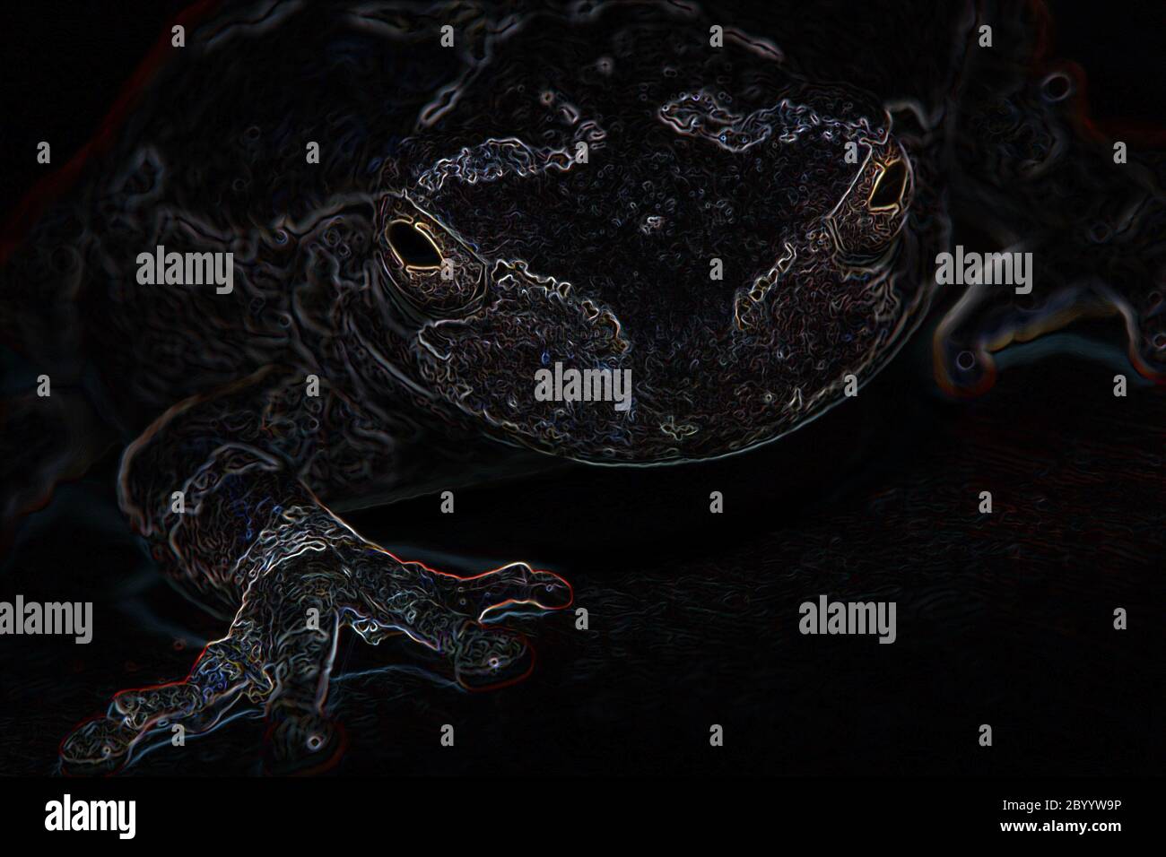 Neon Cope's Gray Tree Frog Stock Photo - Alamy