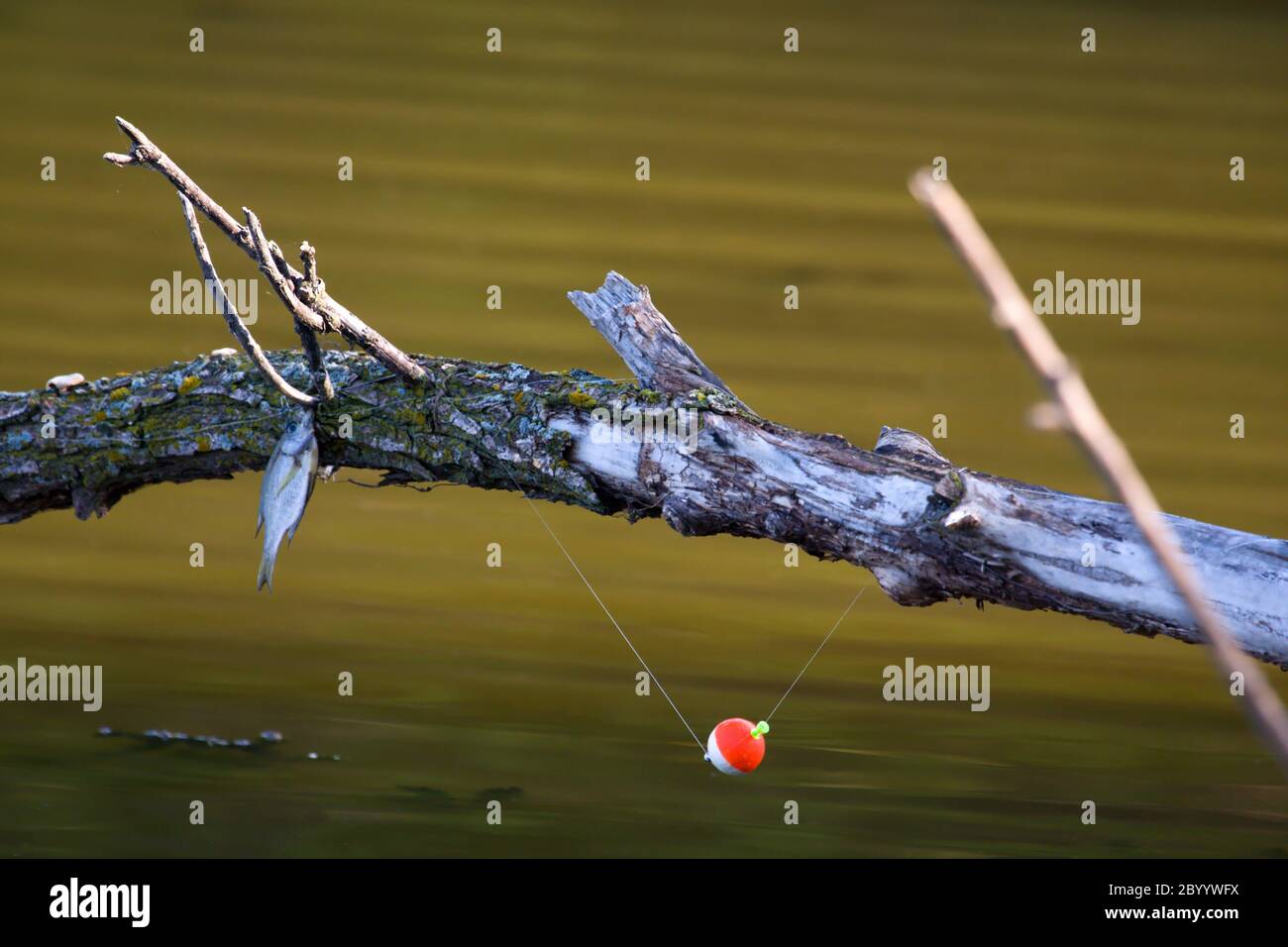 Snag fishing hi-res stock photography and images - Alamy
