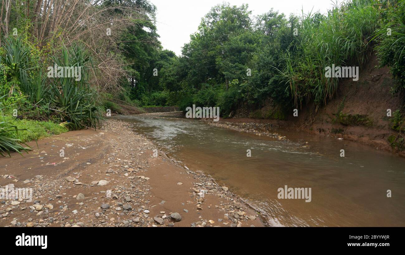River stream with trees around it. Water flows with a small discharge ...