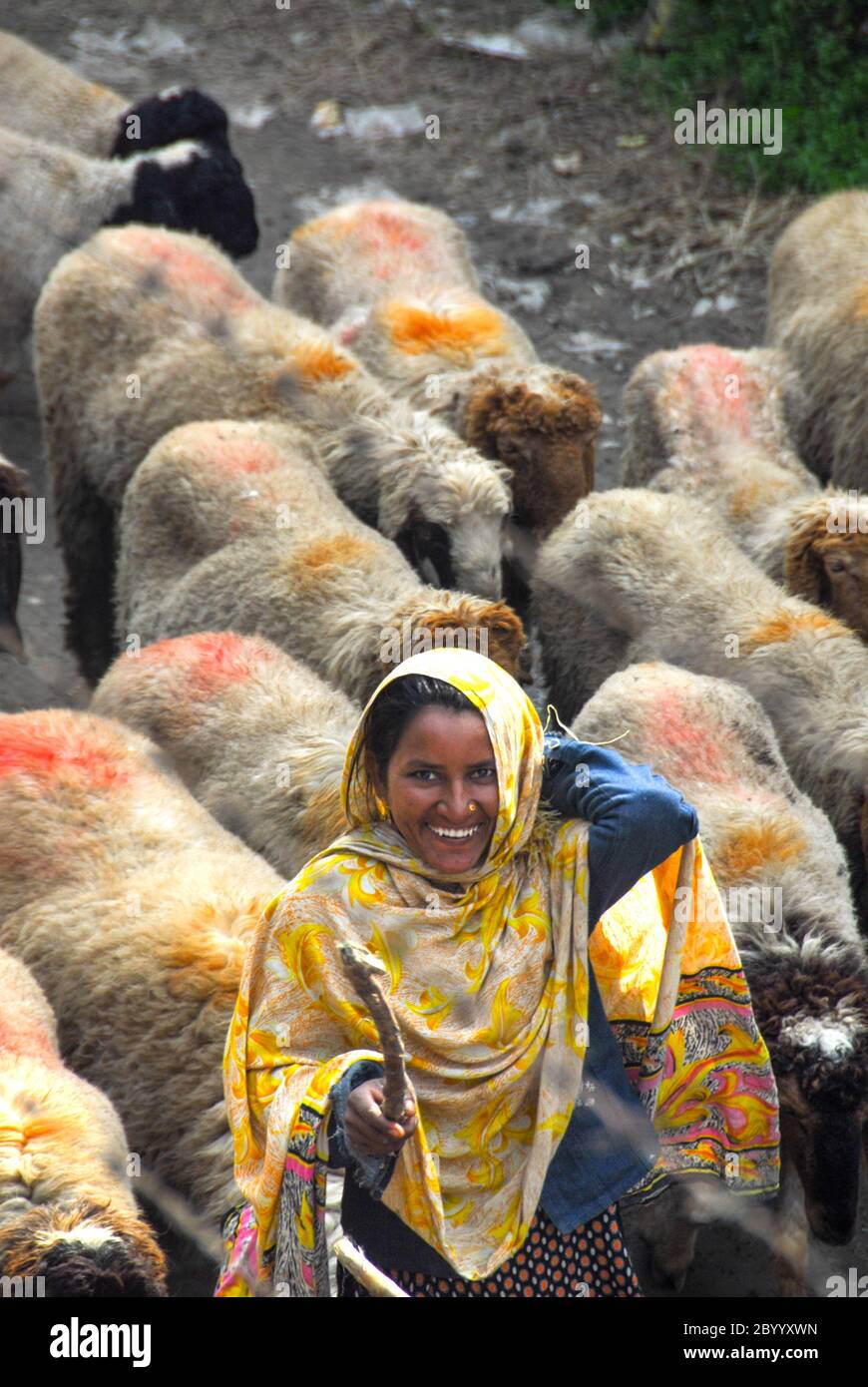 Women pakistan work hi-res stock photography and images - Alamy