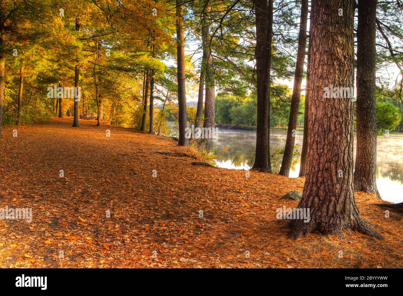 Creek and Bridge in HDR Stock Photo - Alamy