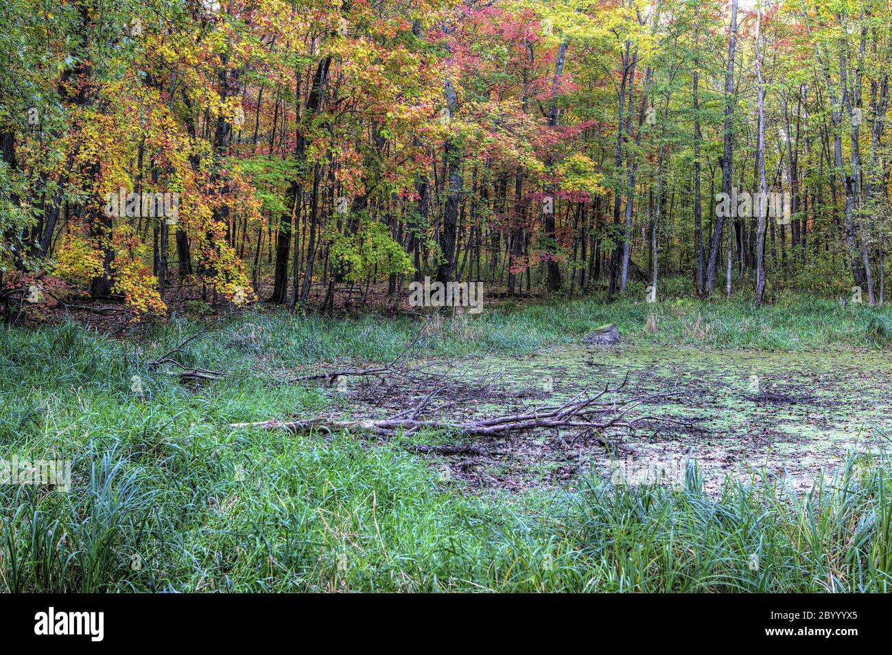 Colorful hdr hi-res stock photography and images - Alamy