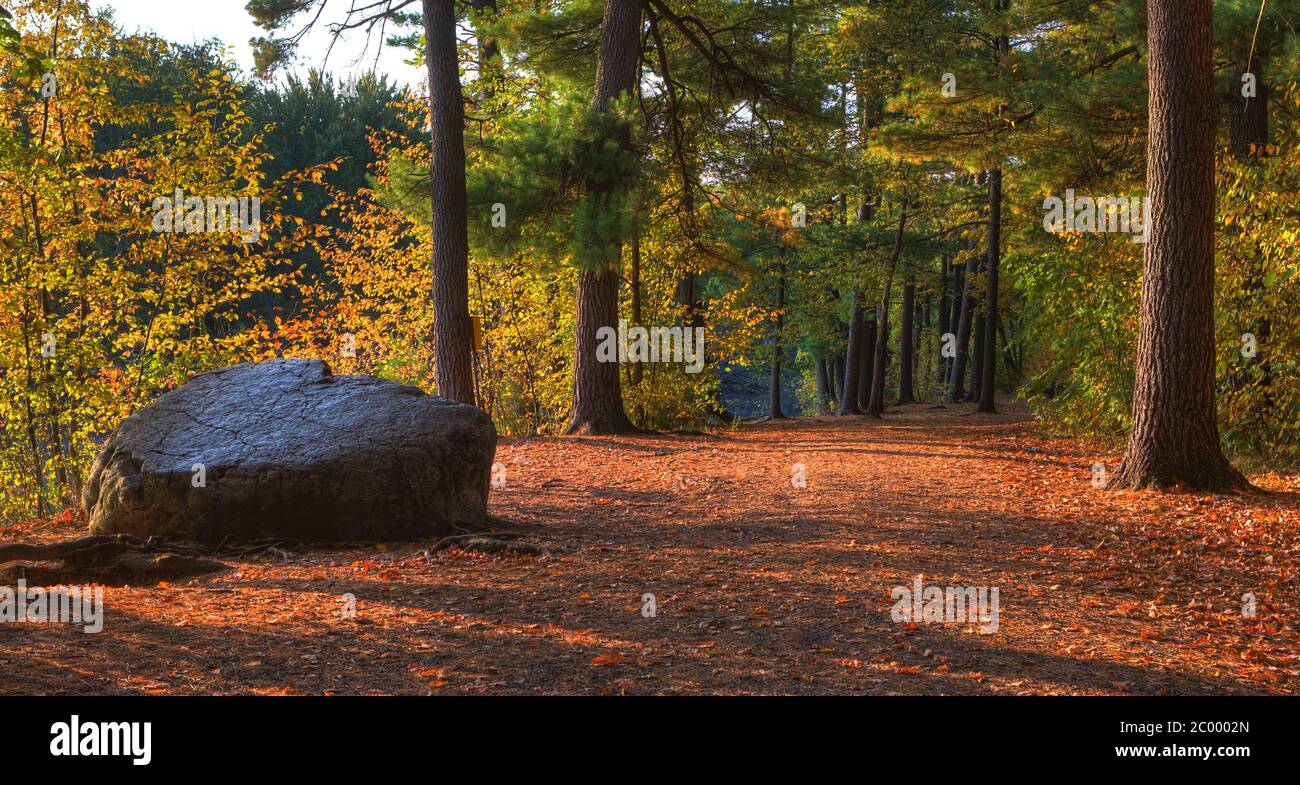 Colorful scenic Landscape in HDR Stock Photo - Alamy