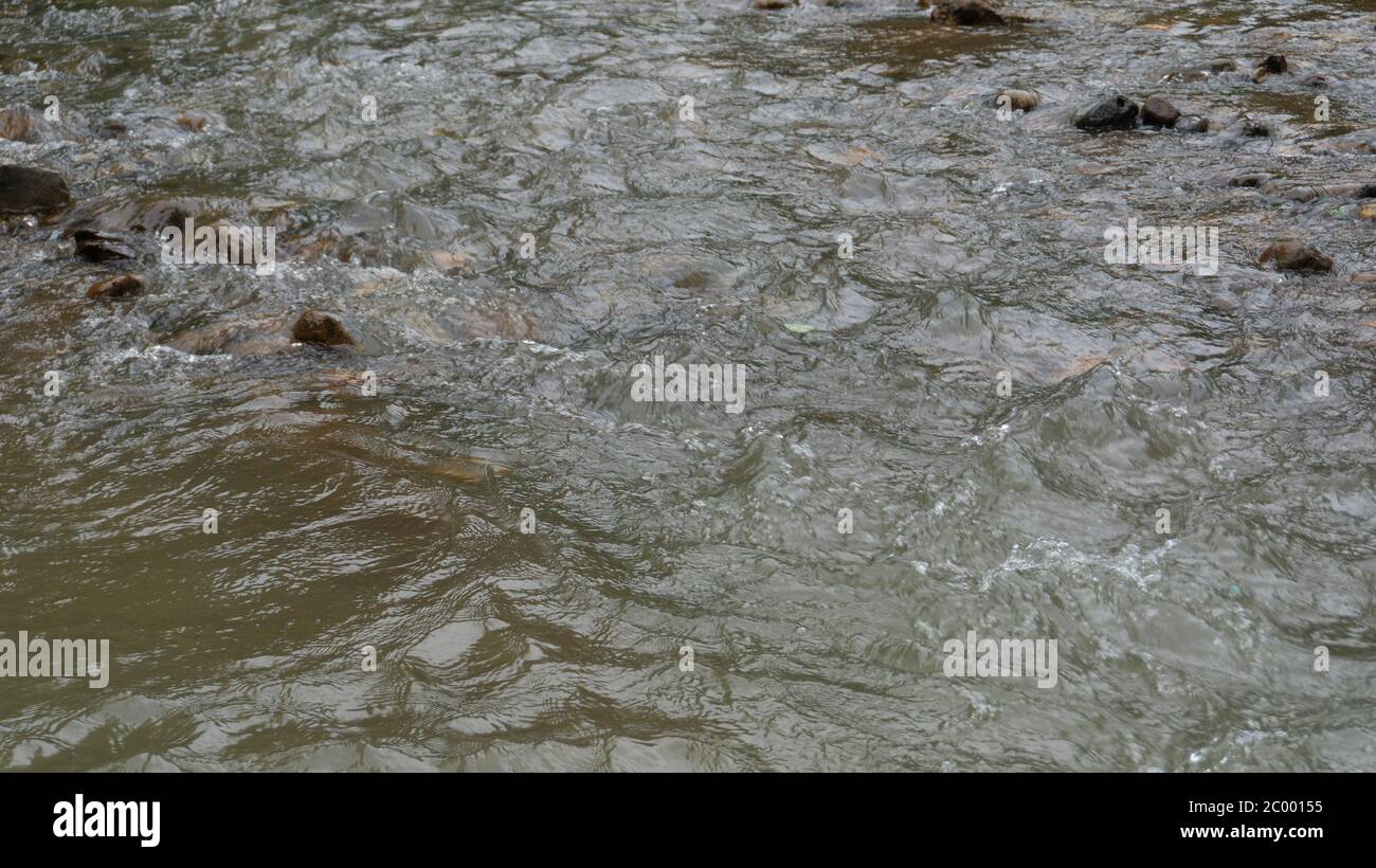 River water flow in the rainy season, looks clear and fresh depicts a ...