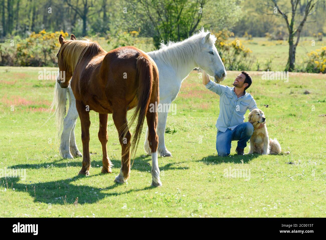 Dog cowboy horse ride hi-res stock photography and images - Alamy
