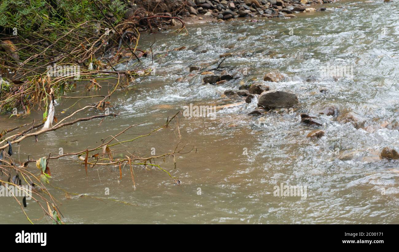 River water flow in the rainy season, looks clear and fresh depicts a ...