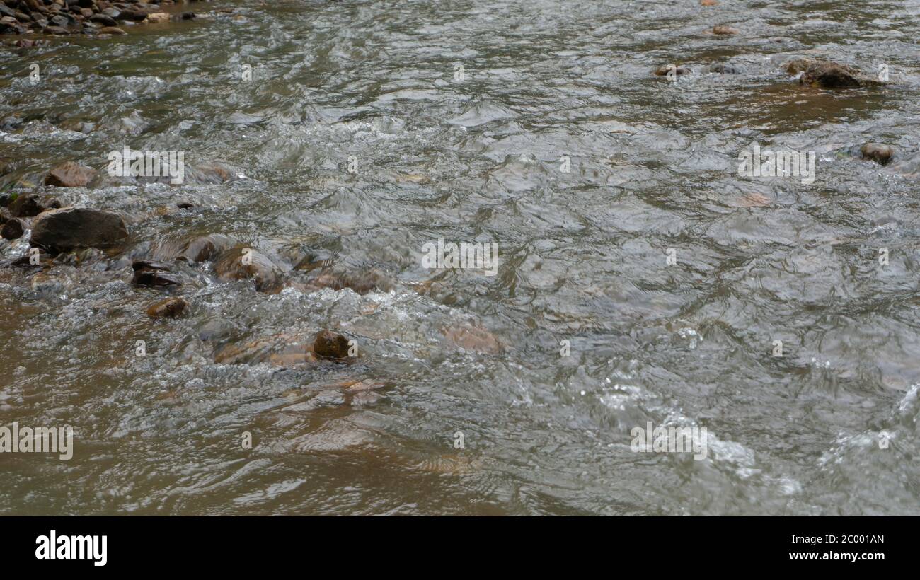 River water flow in the rainy season, looks clear and fresh depicts a ...