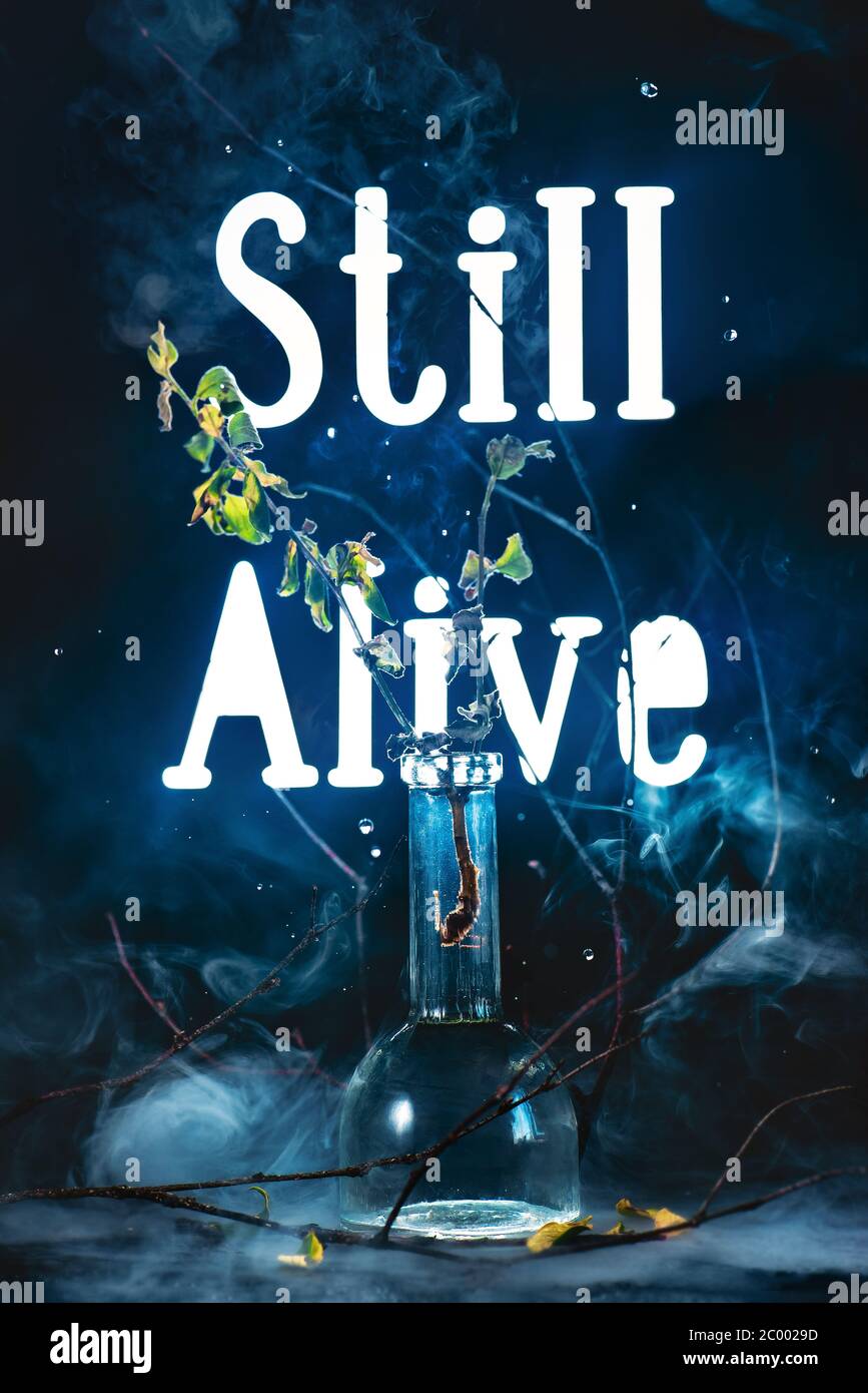 Still alive backlight text with crooked branches and dried leaves ...