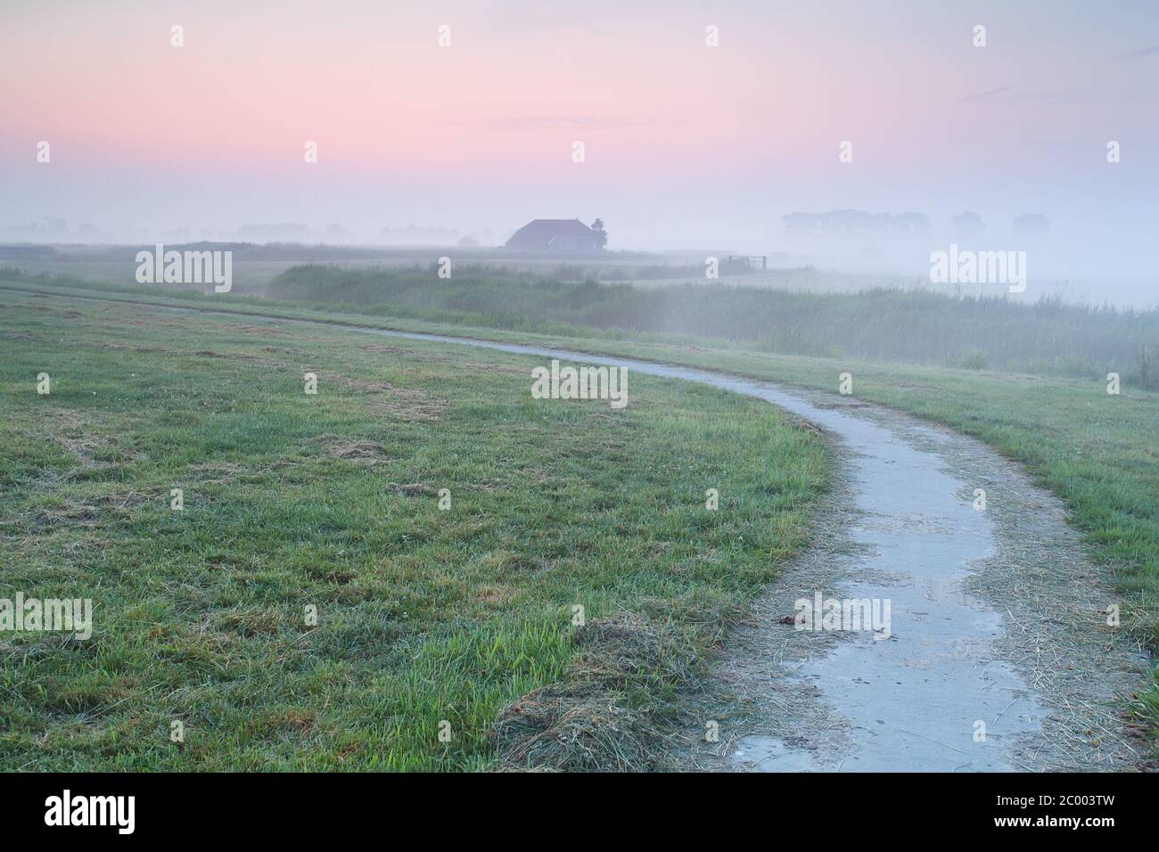 Foggy path hi-res stock photography and images - Alamy